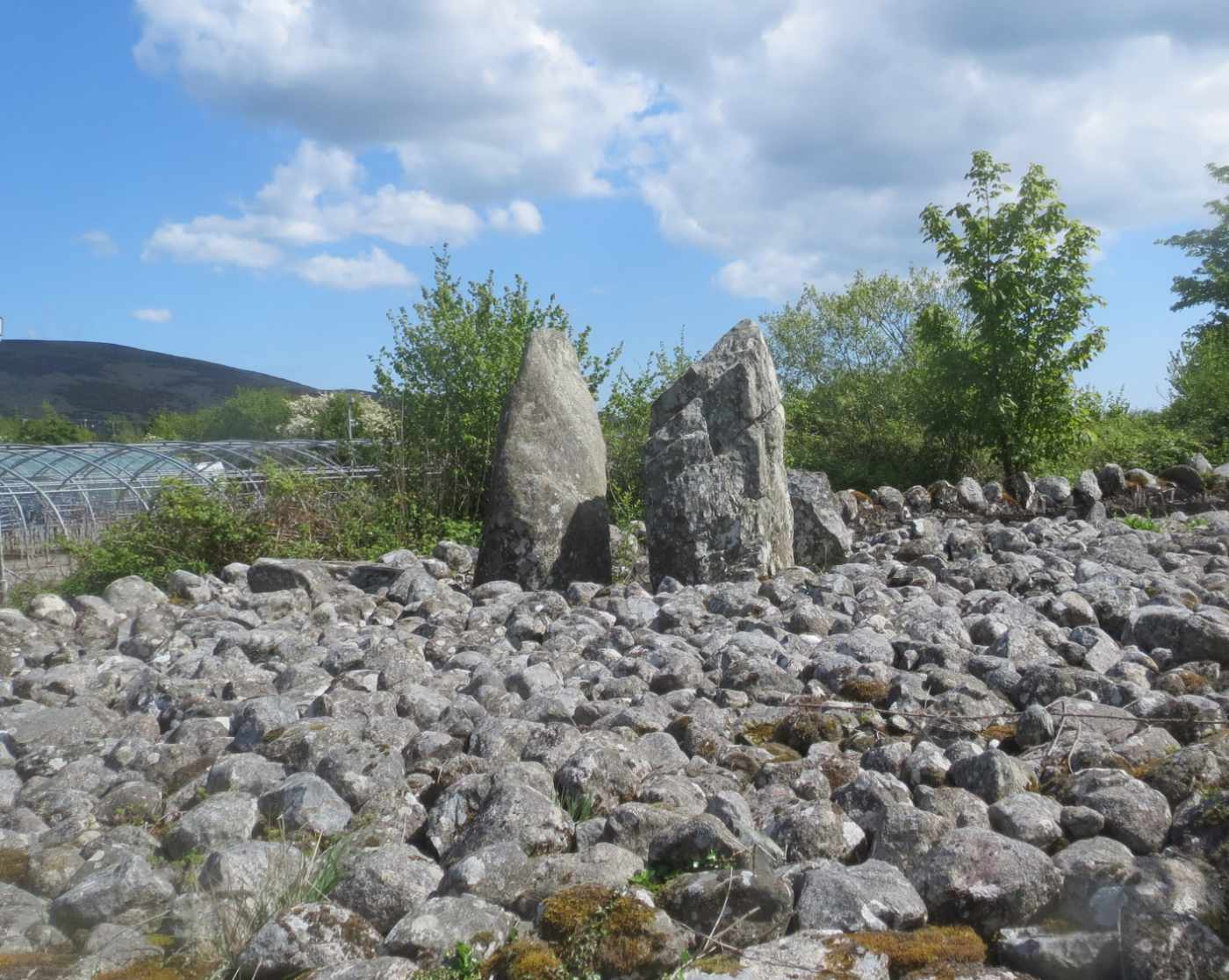 Agnhaskeagh Megaliths • Pagan Places