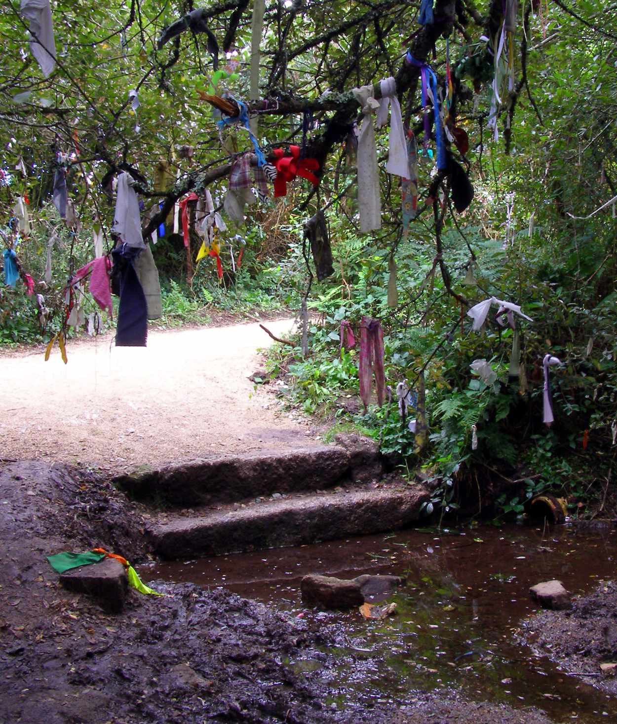 Madron Well • Pagan Places