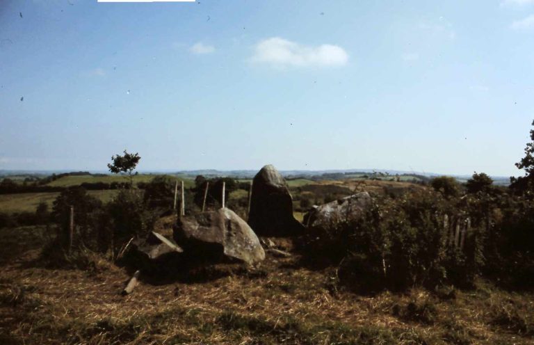 Mayo Portal Tomb • Pagan Places